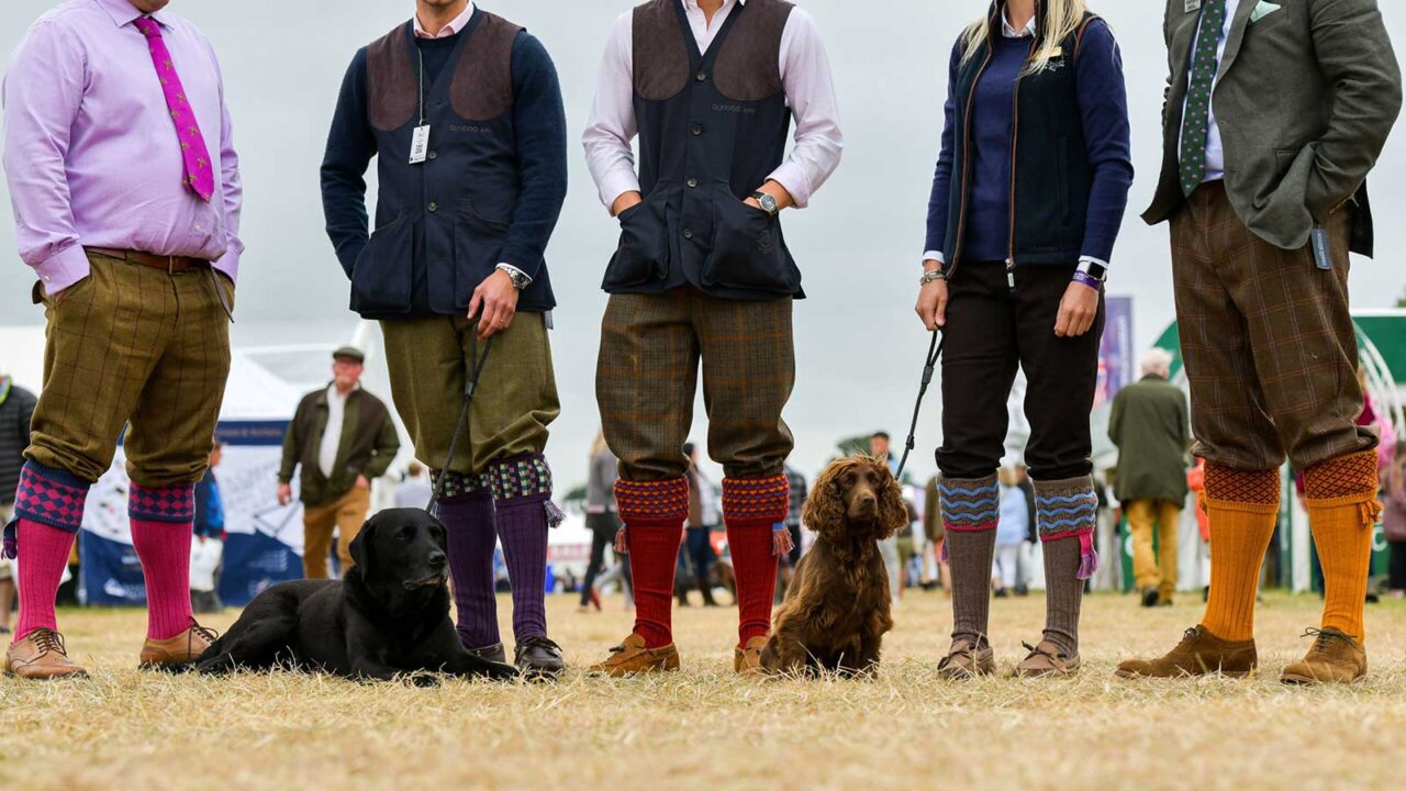 The Top Things To See And Do At The Game Fair 2022 - eGunroom