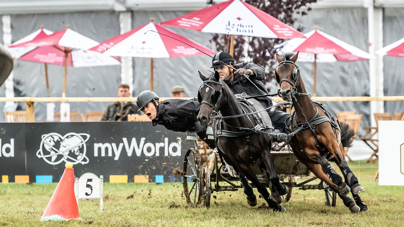 The Top Things to See and Do at The Game Fair 2023 - eGunroom